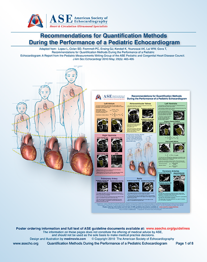 Quantification Methods During the Performance of a Pediatric Echo ...