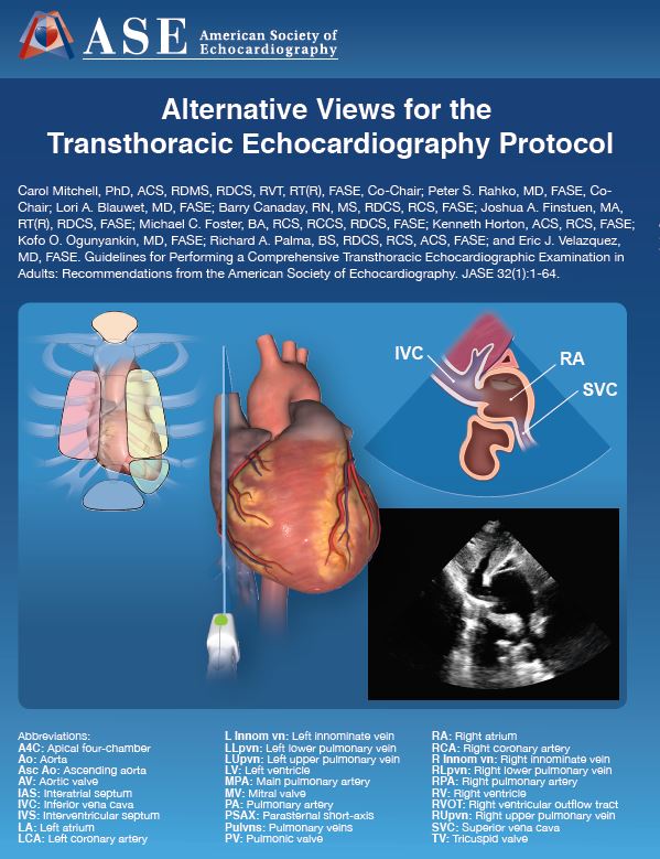 Comprehensive TTE Guideline Binder Insert Bundle (4 Binder Inserts)