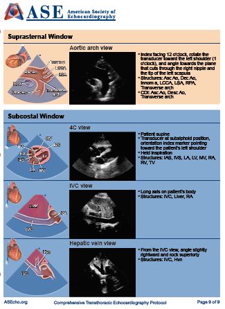 Comprehensive TTE Guideline Binder Insert Bundle (4 Binder Inserts)