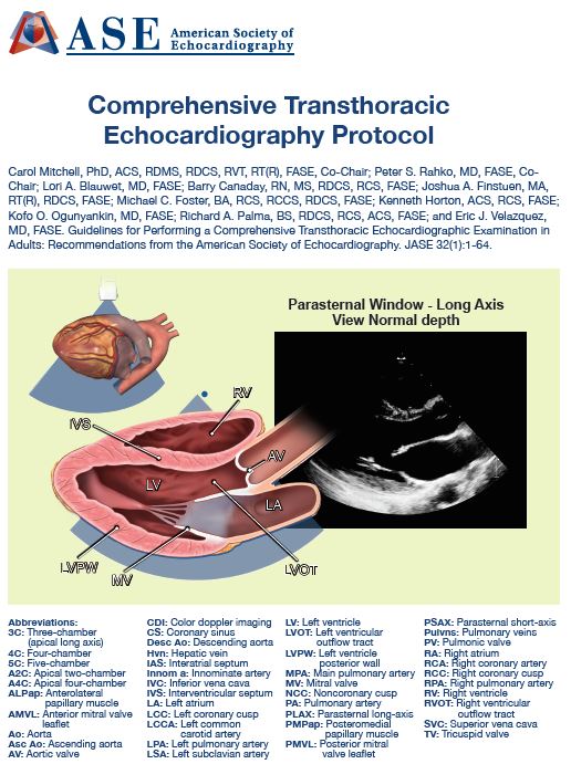 Comprehensive TTE Guideline Binder Insert Bundle (4 Binder Inserts)