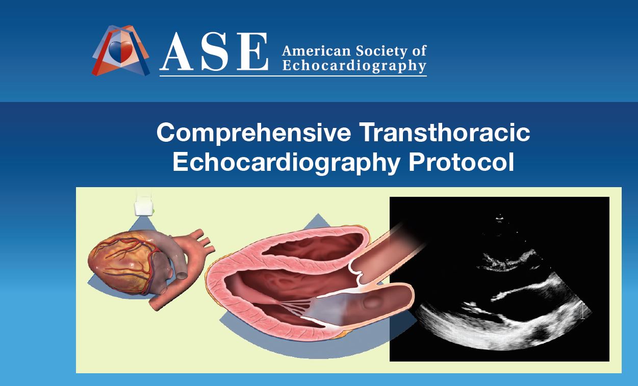 Comprehensive TTE Scanning Maneuvers and TTE Protocol Pocket Guide Set