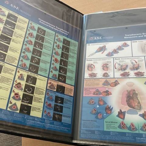 Guideline Poster Flip Chart Portfolio